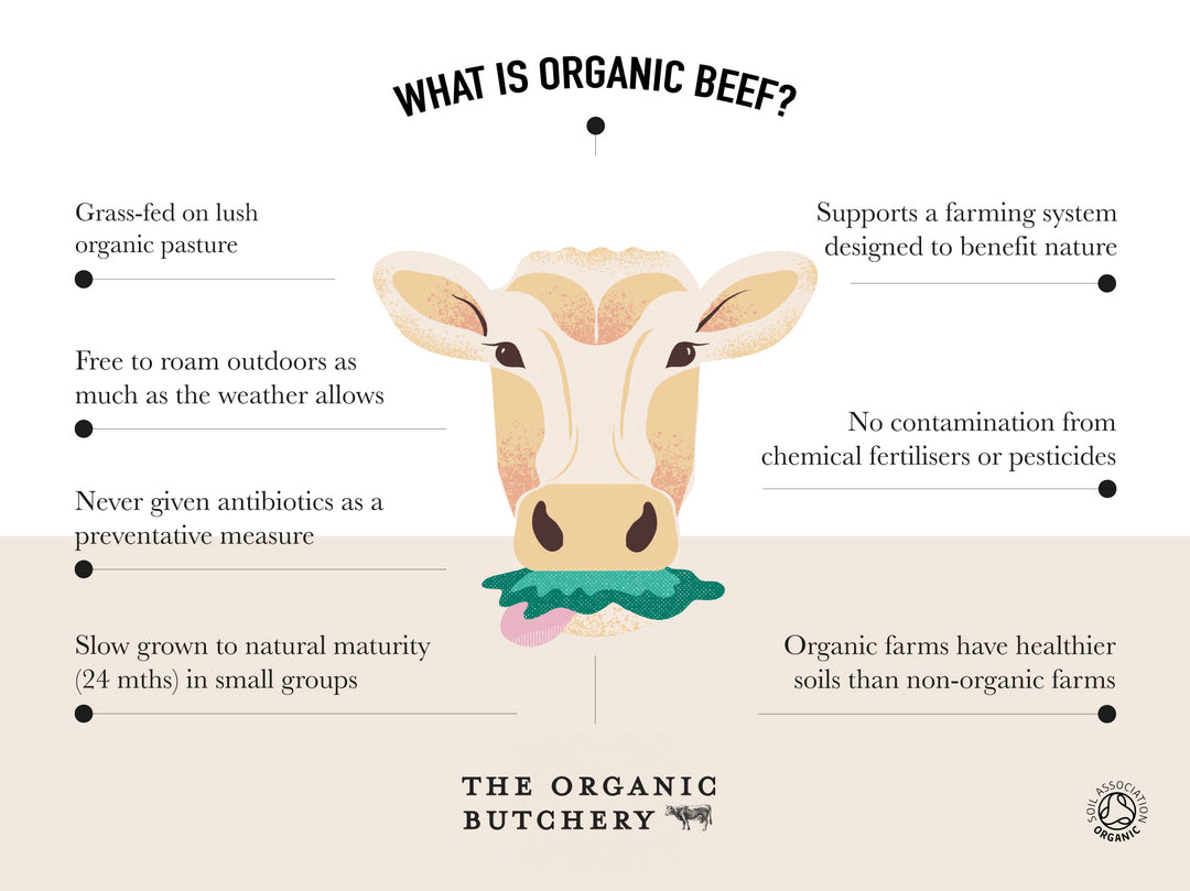 Organic Beef Silverside Joint | The Organic Butchery