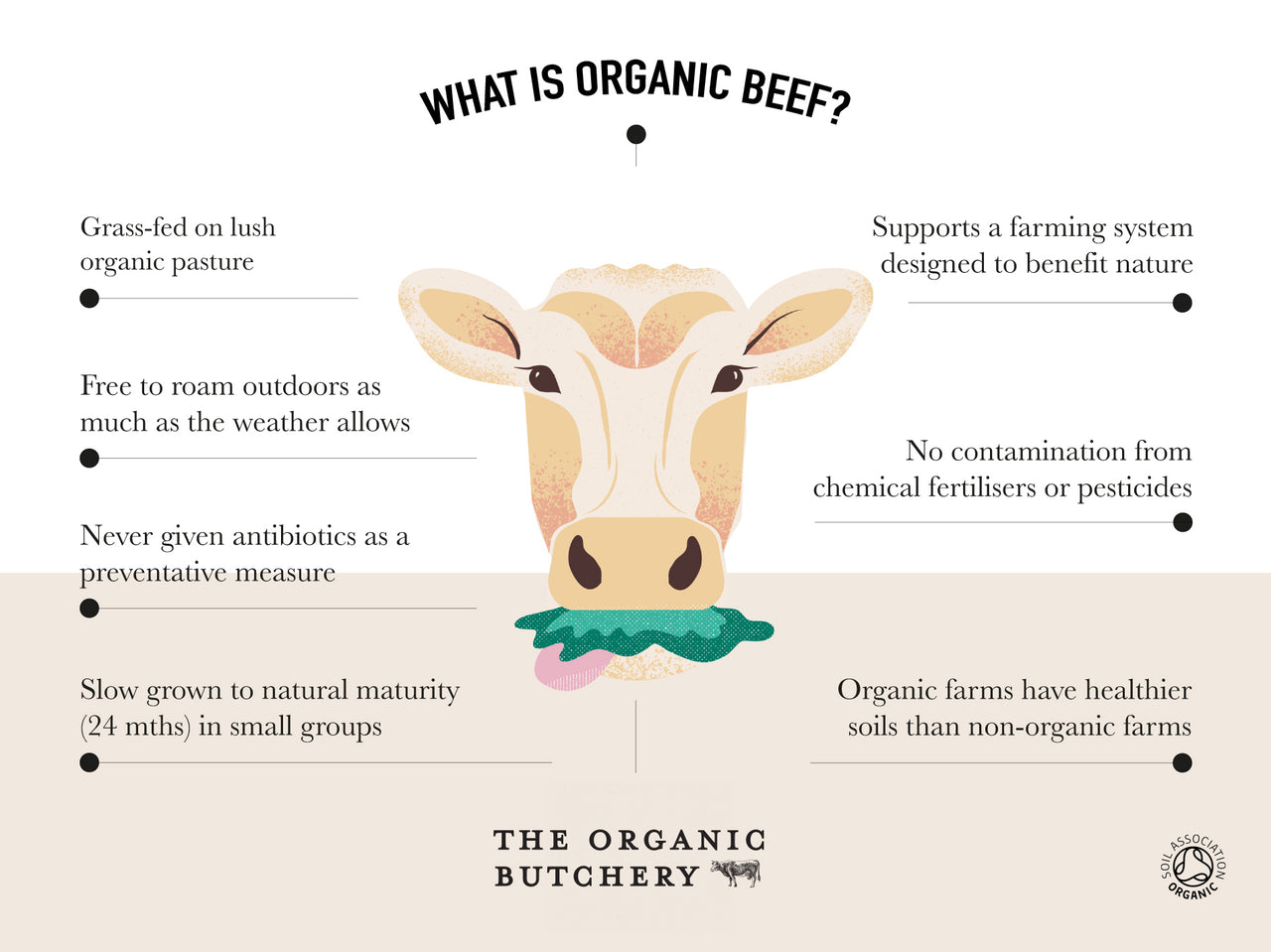 Organic Beef Chuck Steak | The Organic Butchery