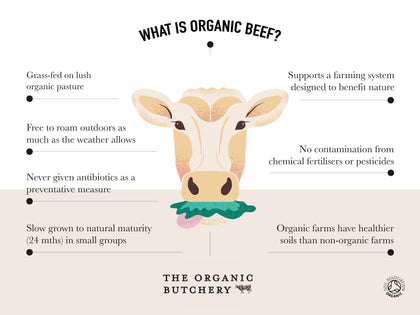 Organic Half a Cow Box | Grass-Fed Beef | Save £350+