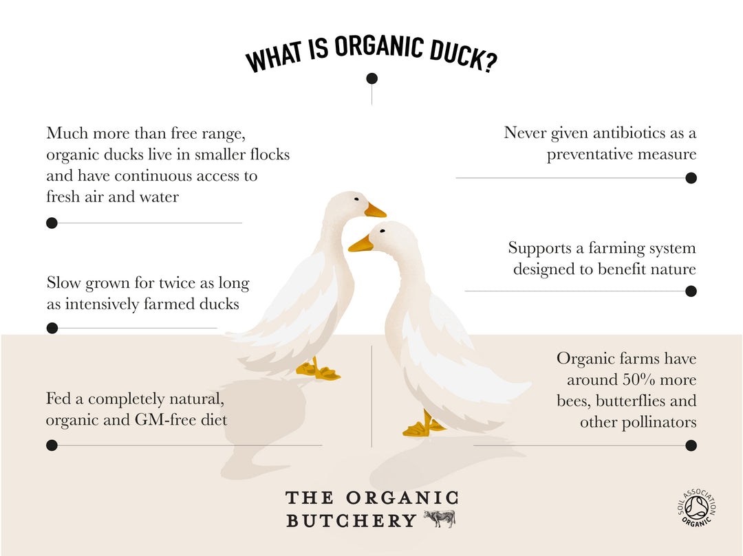 Organic Duck Giblets | The Organic Butchery